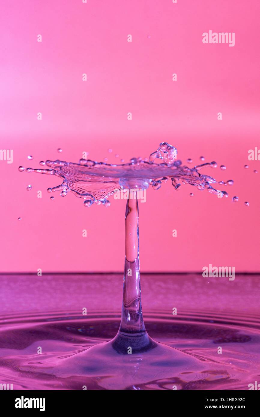Vertical shot of a water splash in a studio on a pink background Stock ...