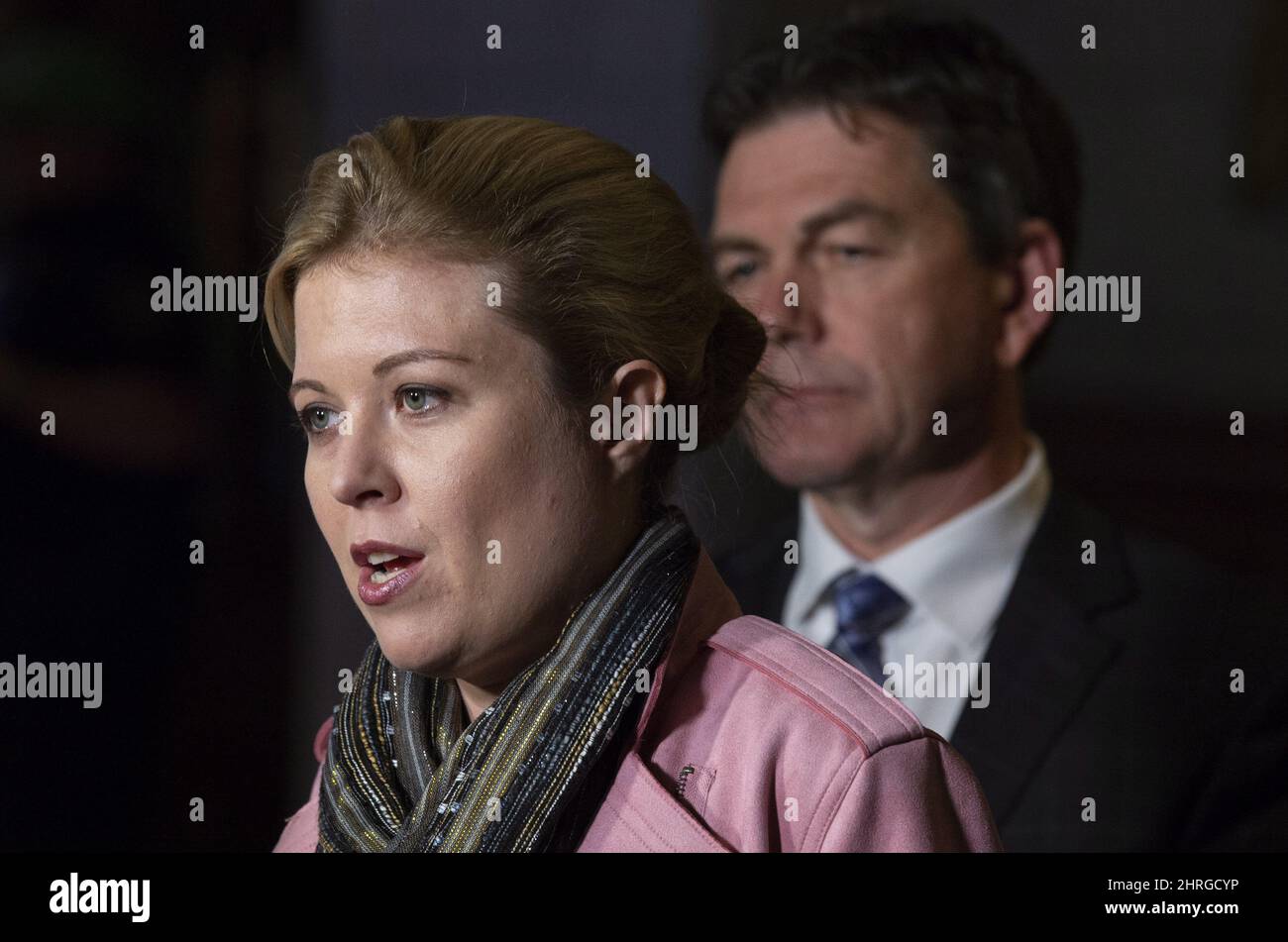 Conservative MP Michelle Rempel speaks as David Anderson looks on ...