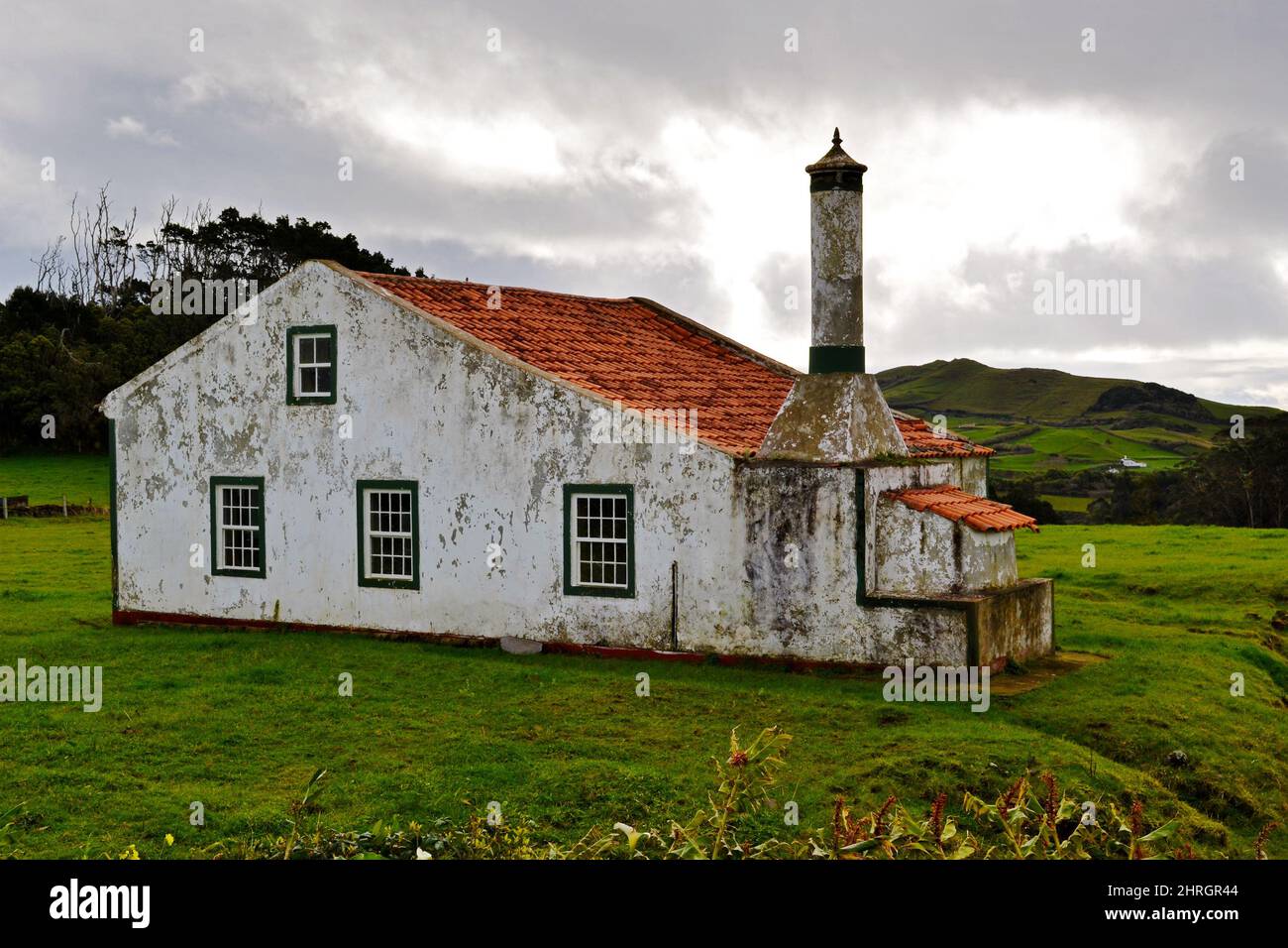 Typical house architecture on pastures in the Azores Stock Photo - Alamy