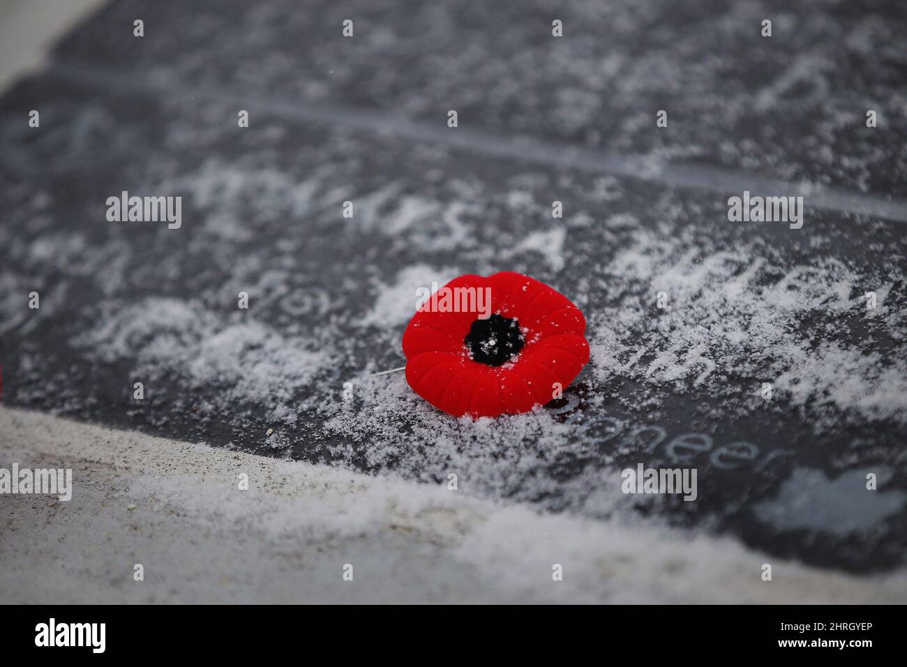 A poppy is placed on a memorial plaque at a cenotaph during a ...