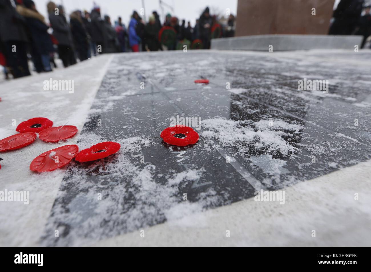 Poppies are placed on memorial plaques at a cenotaph during a ...
