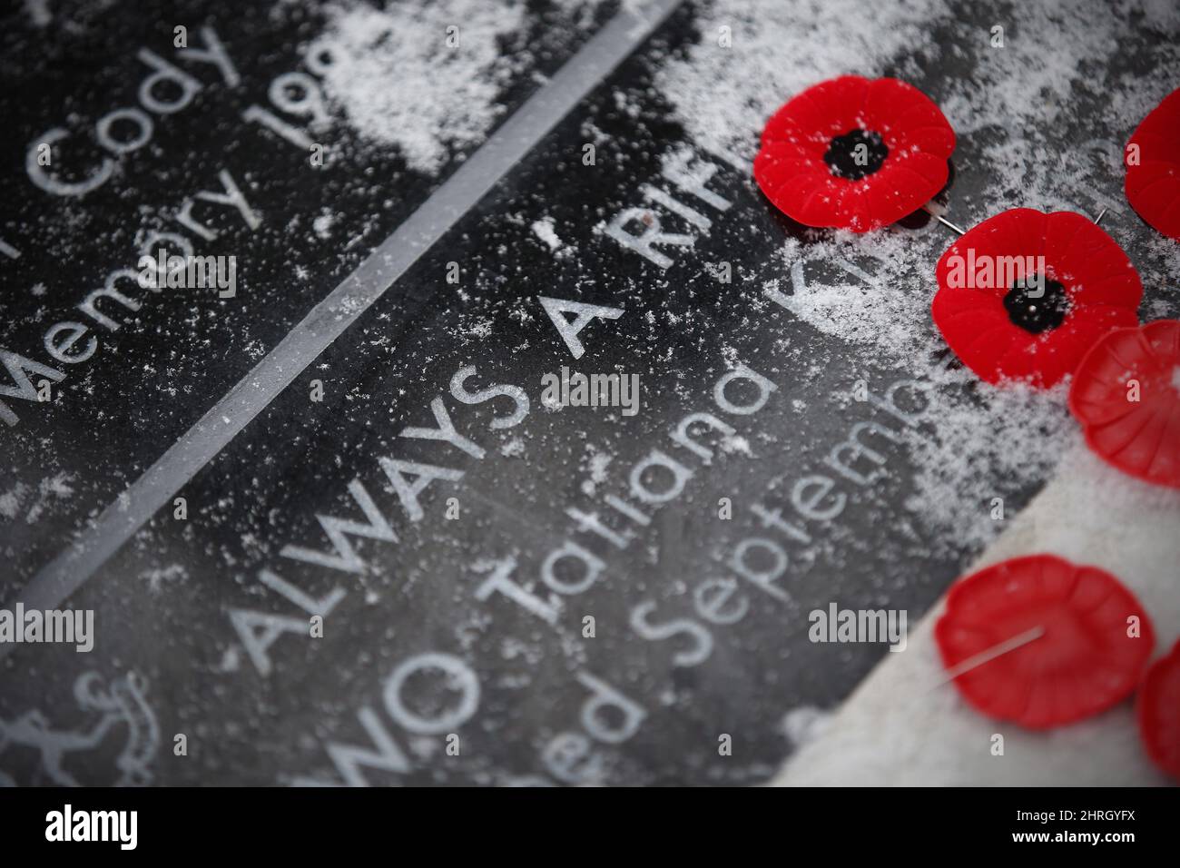 Poppies are placed on memorial plaques at a cenotaph during a ...