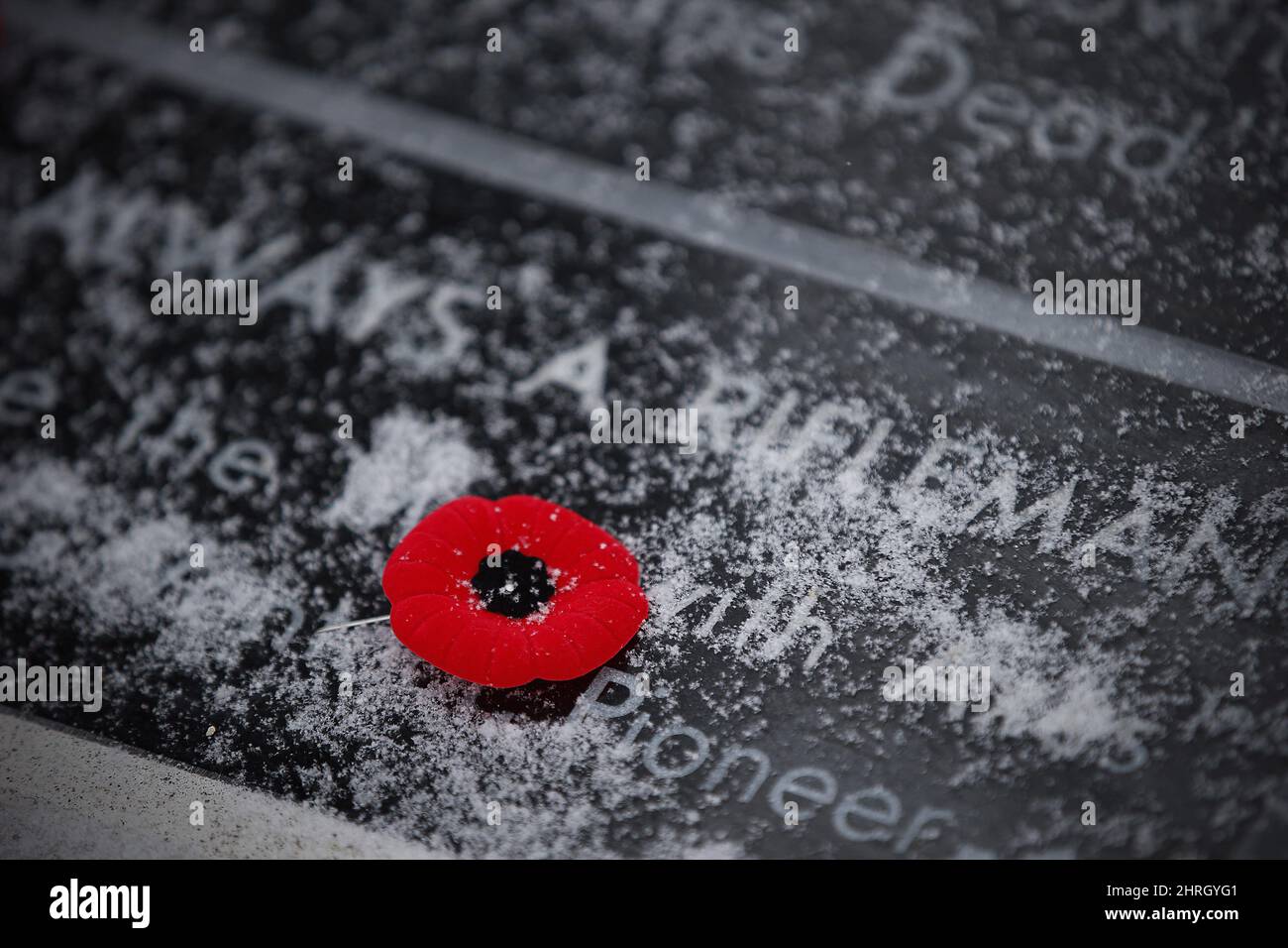 A poppy is placed on a memorial plaque at a cenotaph during a ...