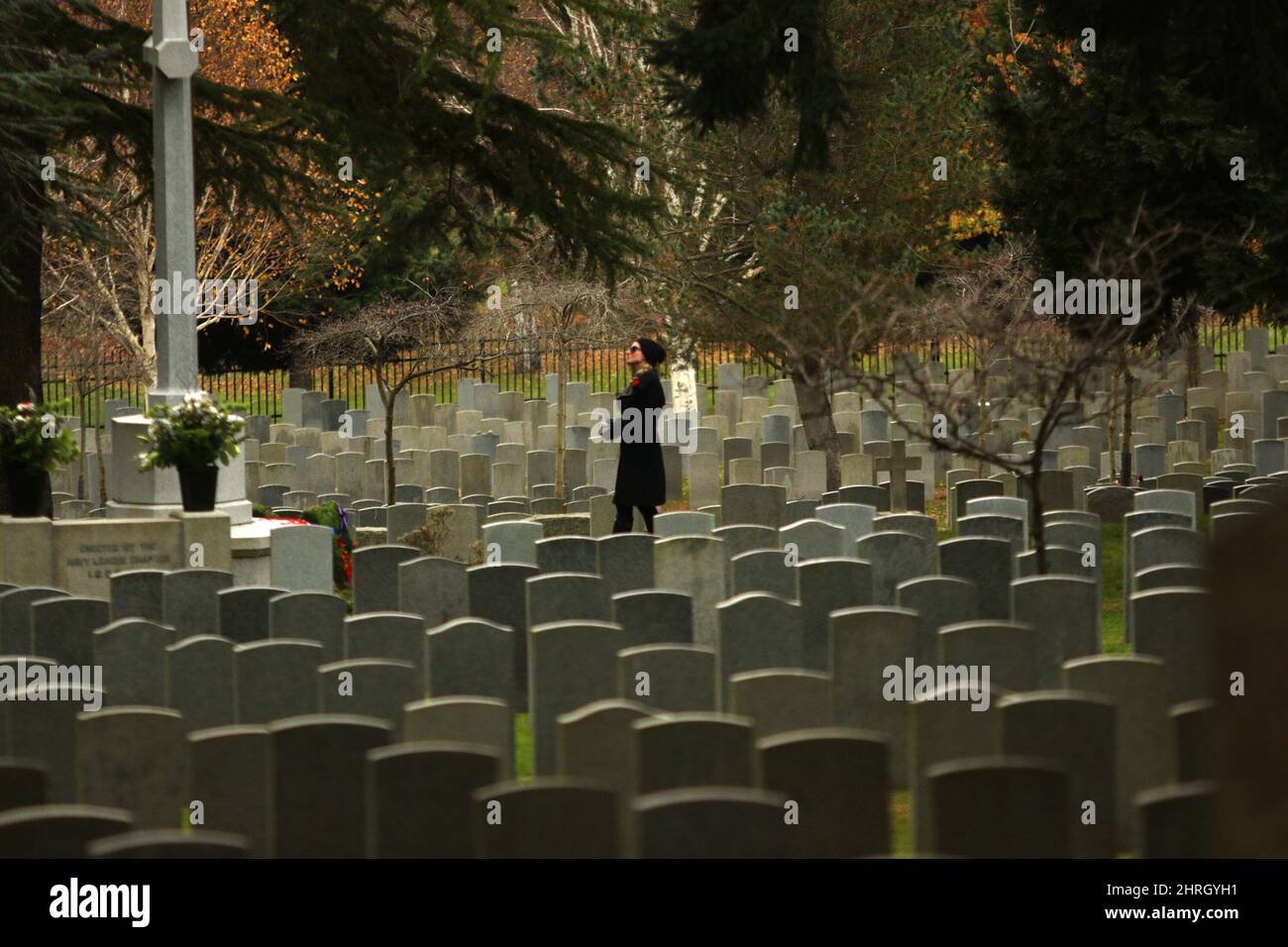 A woman looks up at a cenotaph following Remembrance Day ceremonies at ...