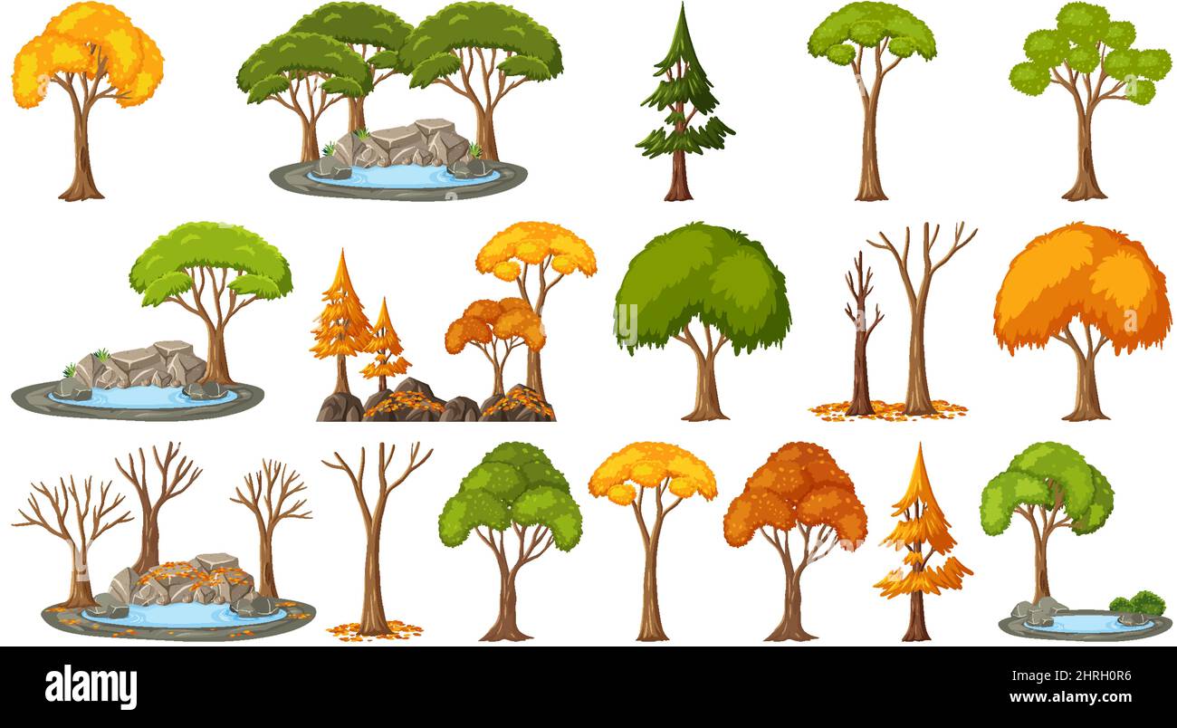 Set of four seasons trees on white background illustration Stock Vector ...
