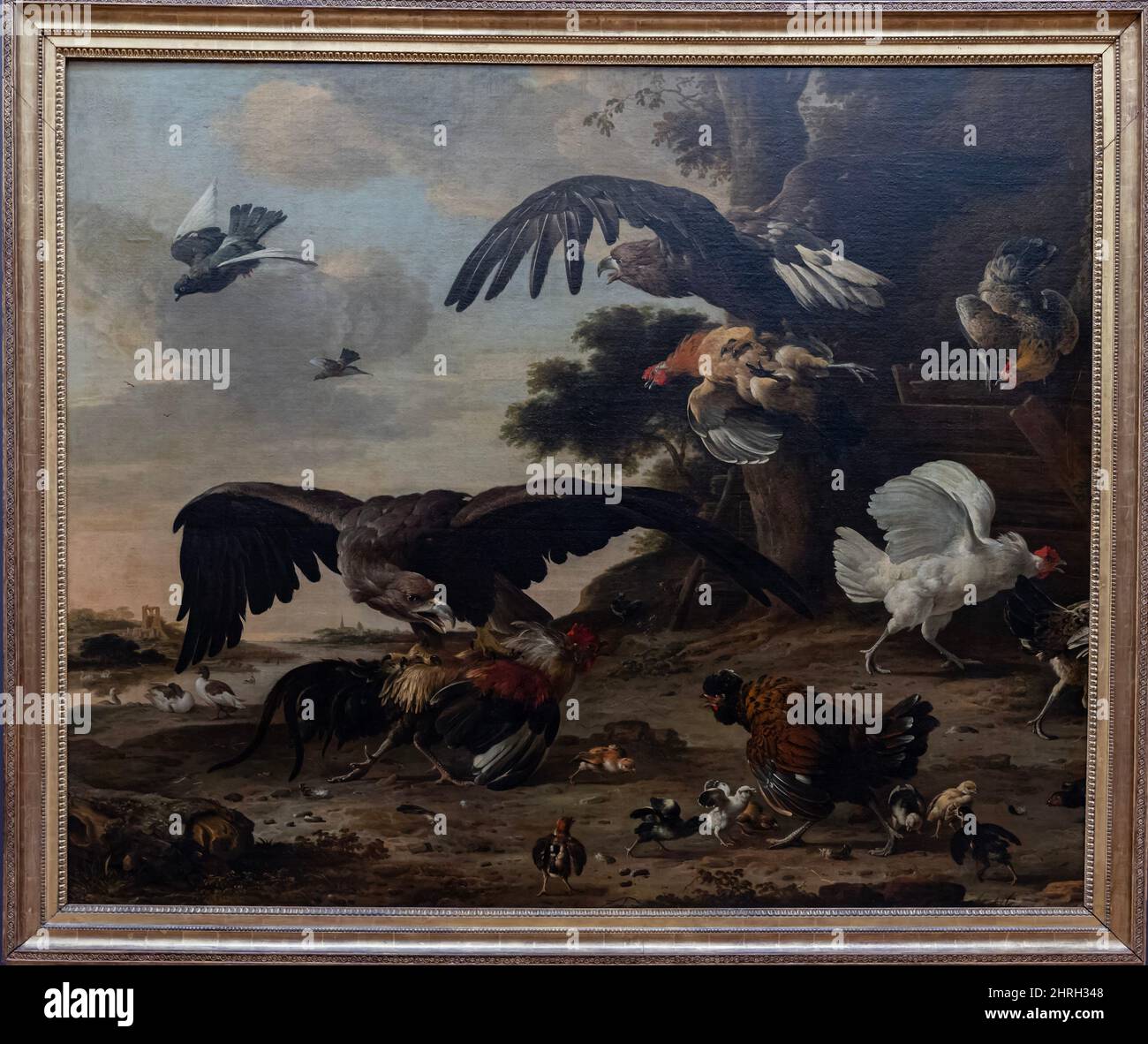 Louvre Museum. Eagles attacking chickens painted by Melchior de ...