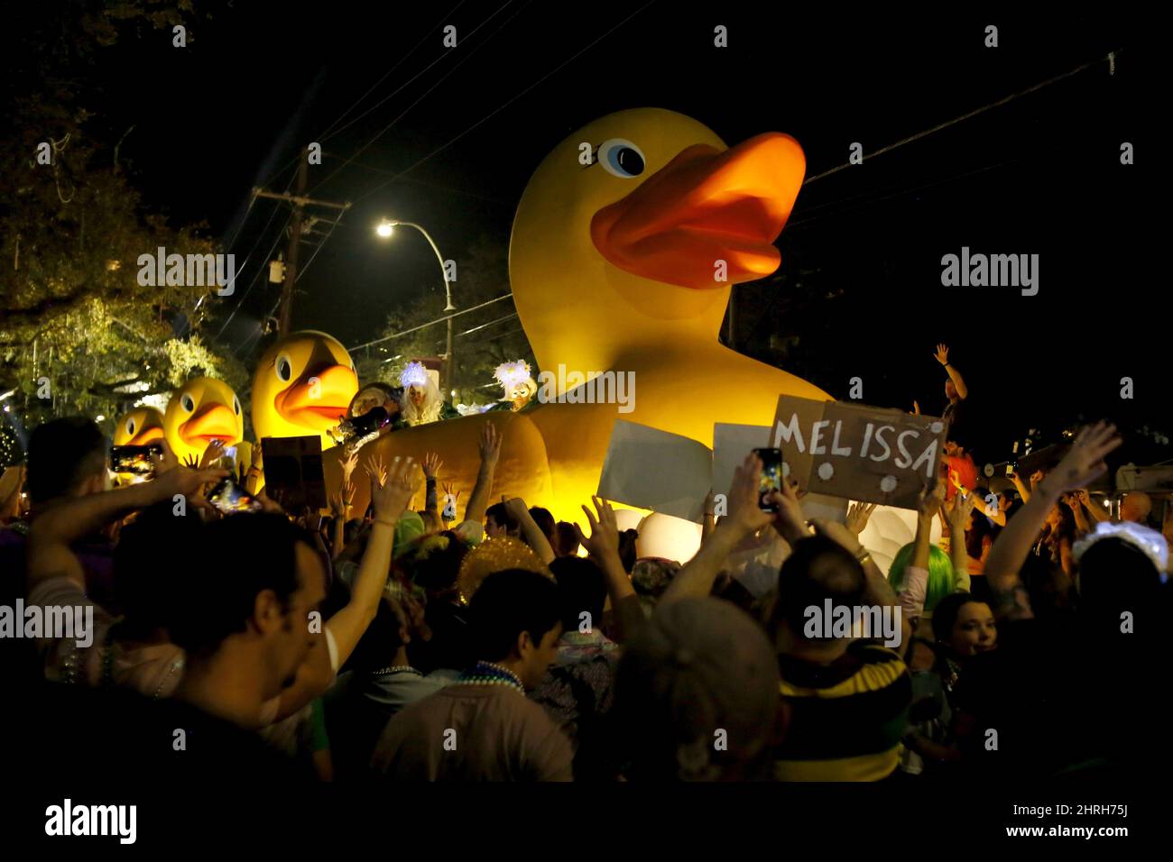 Queen Krewe Of Muses