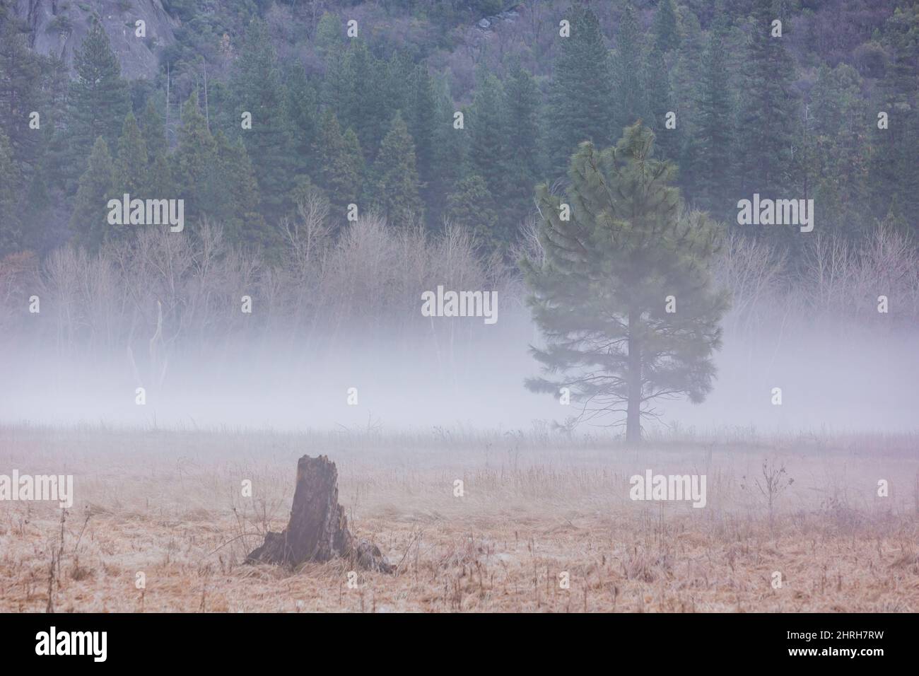 Hazy landscape of the beautiful Yosemite National Park at California ...