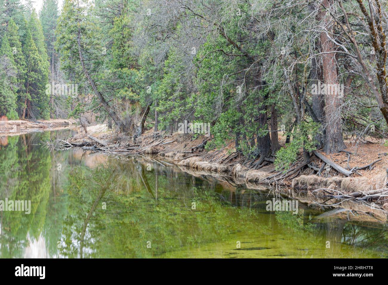 Daytime view of the merced river landscape of Yosemite National Park at ...