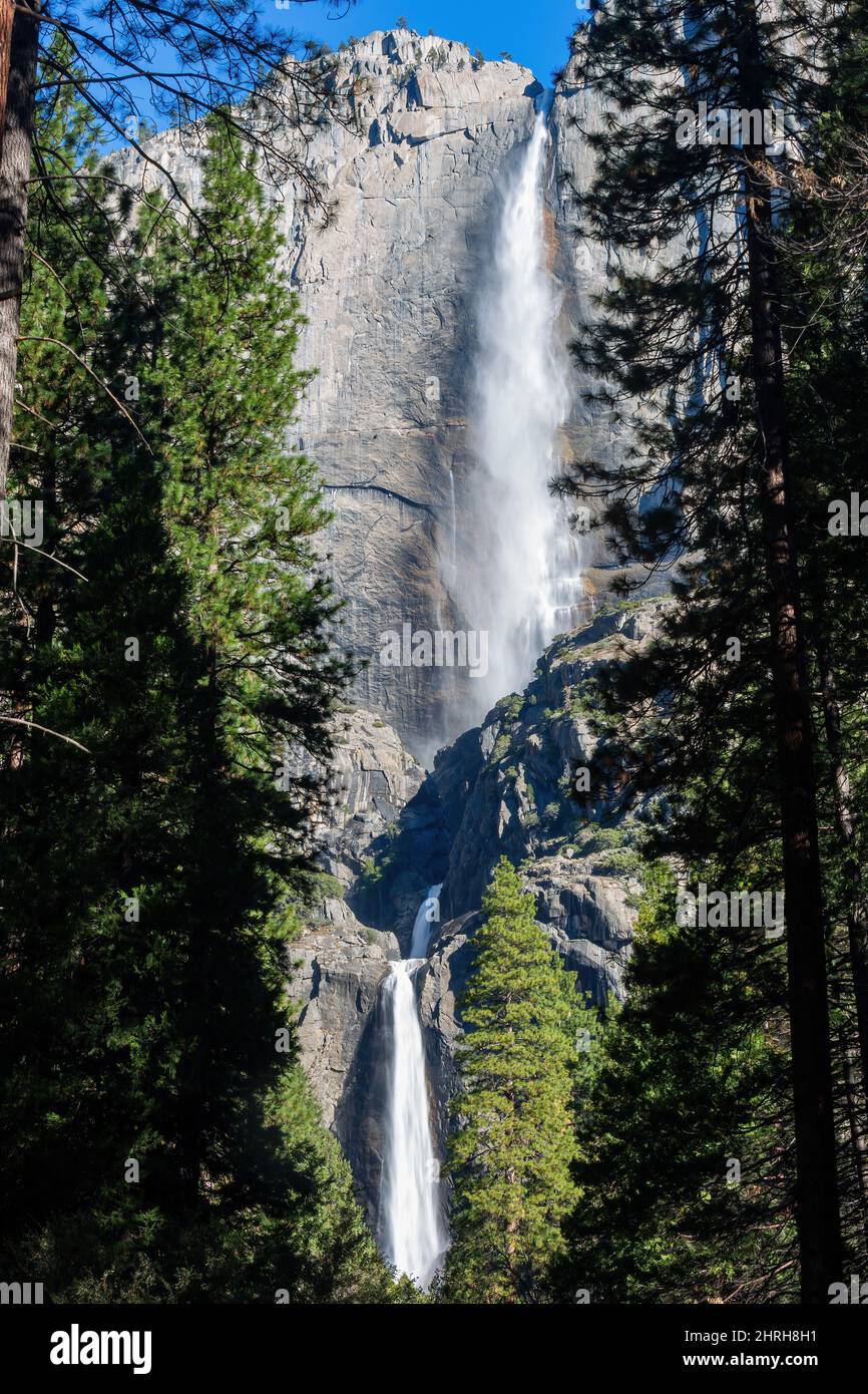 Sunny view of the upper and lower Yosemite Falls of Yosemite National ...
