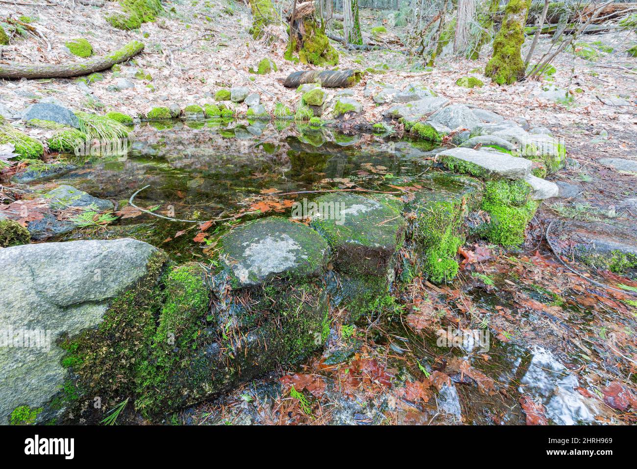 Daytime view of the spring of Yosemite National Park at California ...