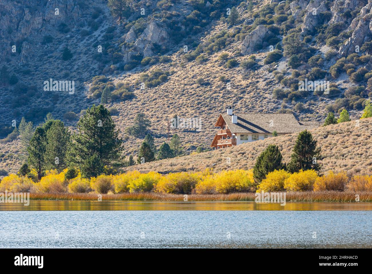 Sunny view of the fall color in June Lake Loop at California Stock ...