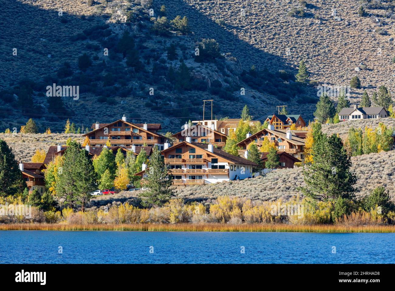 Sunny view of the fall color in June Lake Loop at California Stock ...