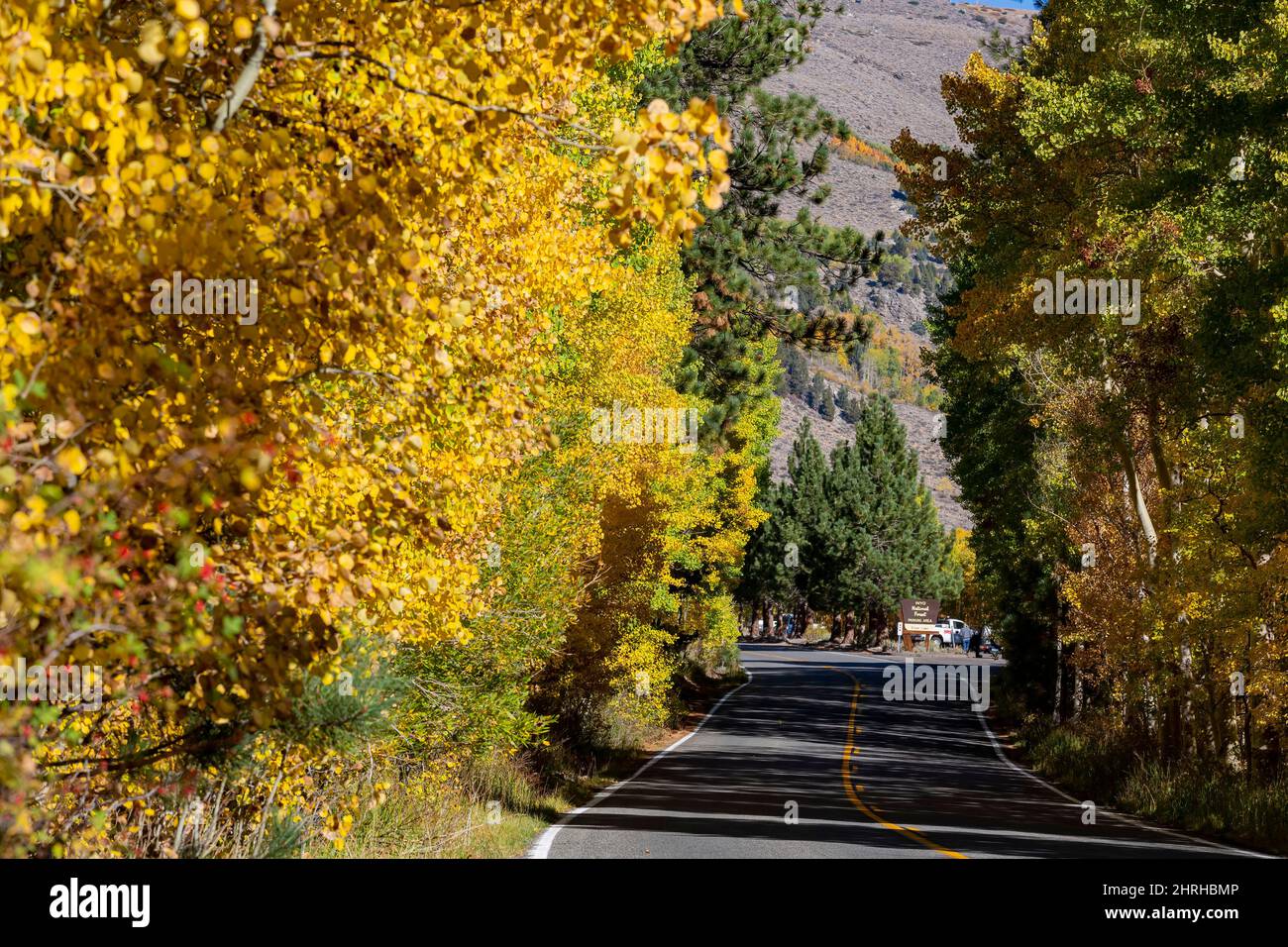 Sunny view of the fall color in June Lake Loop at California Stock ...