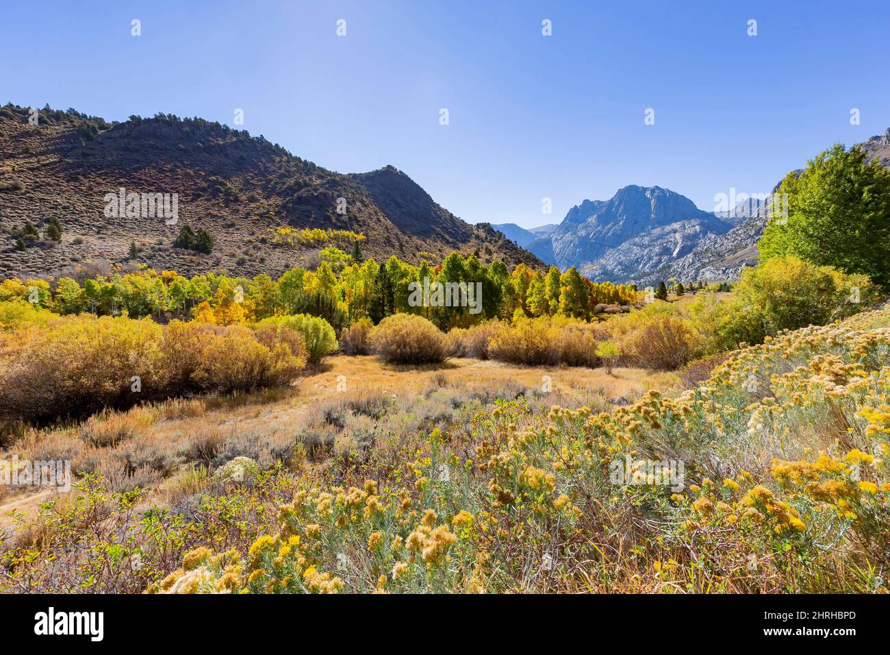 Sunny view of the fall color in June Lake Loop at California Stock ...