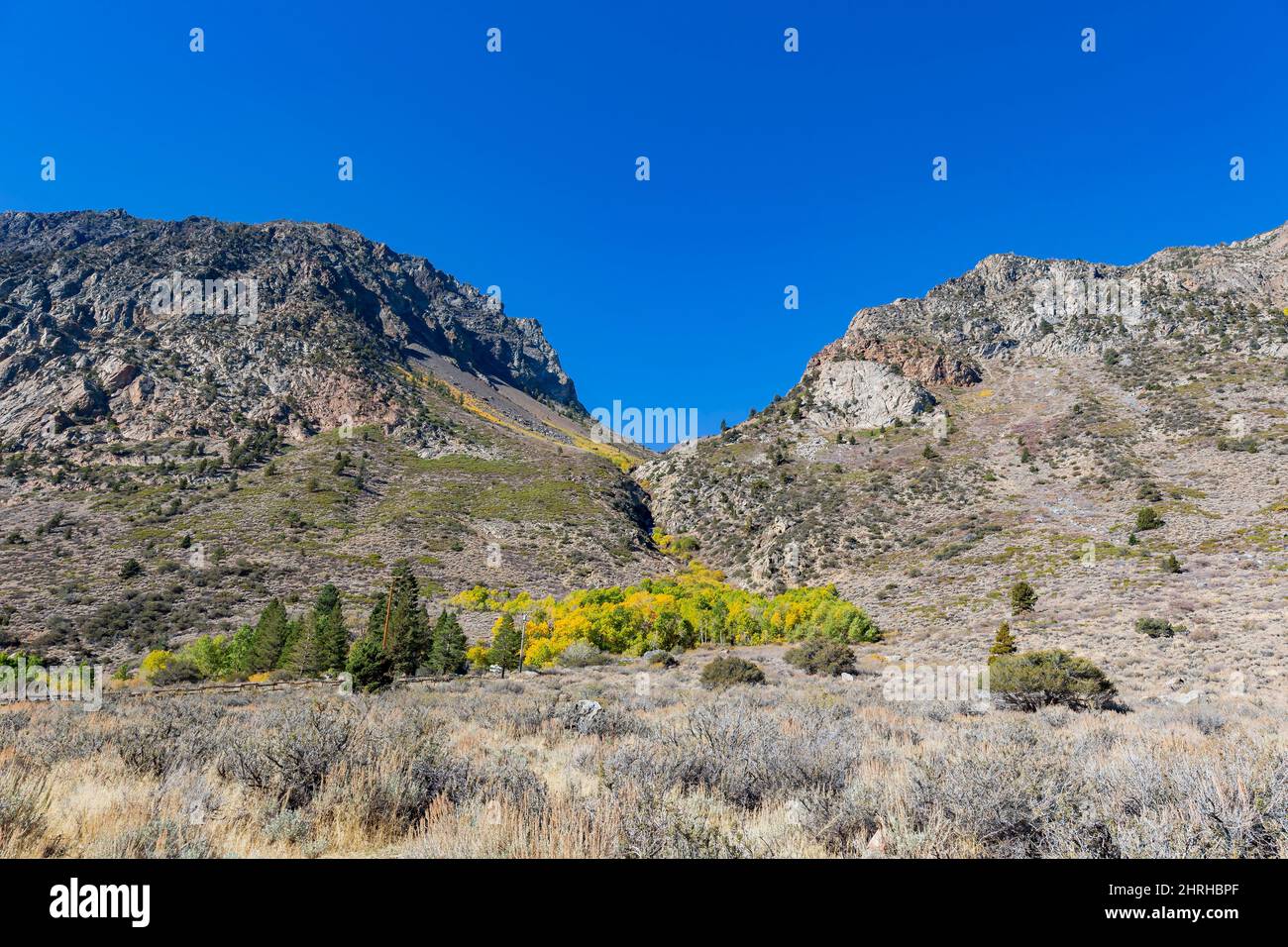 Sunny view of the fall color in June Lake Loop at California Stock ...