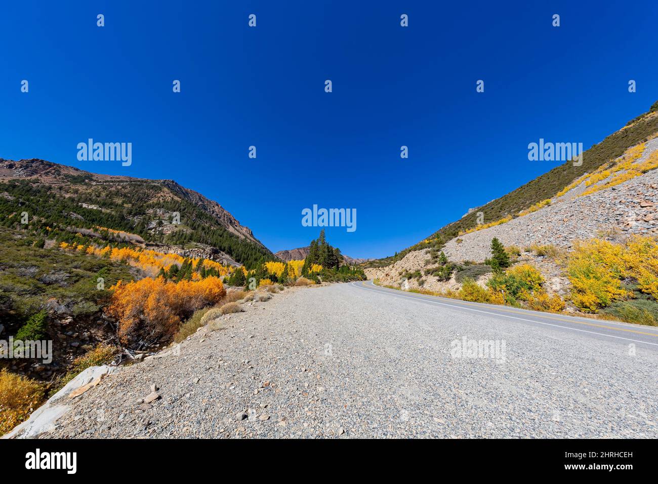 Sunny view of the fall color in June Lake Loop at California Stock ...