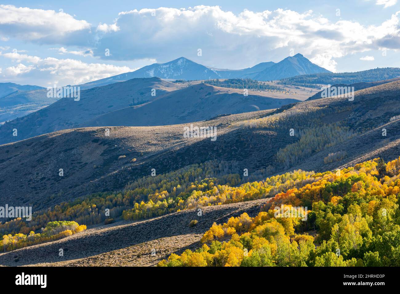 Sunny view of the fall color around Conway Summit at California Stock ...