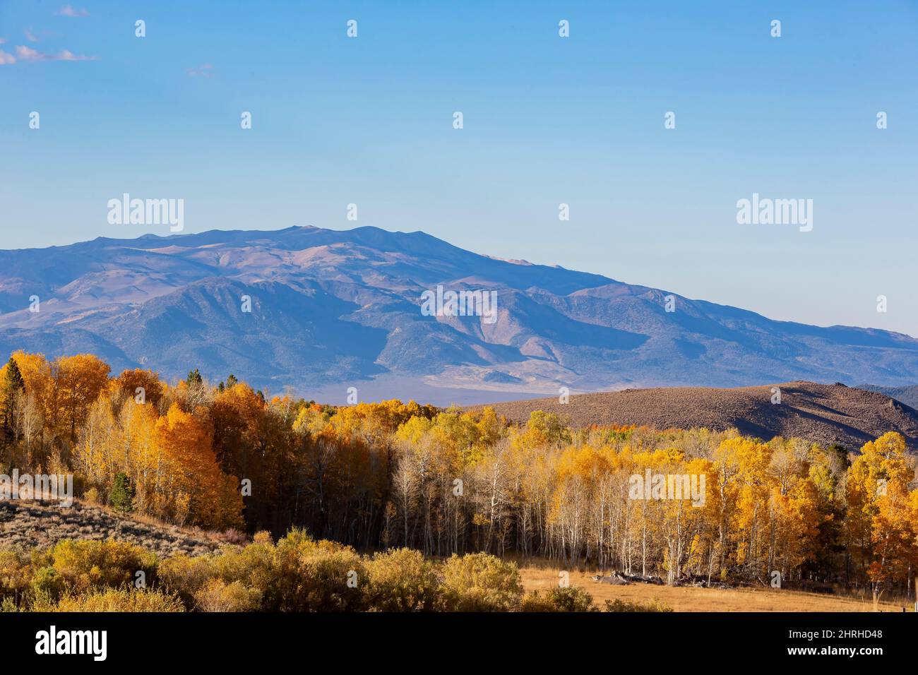 Sunny view of the fall color around Conway Summit at California Stock ...