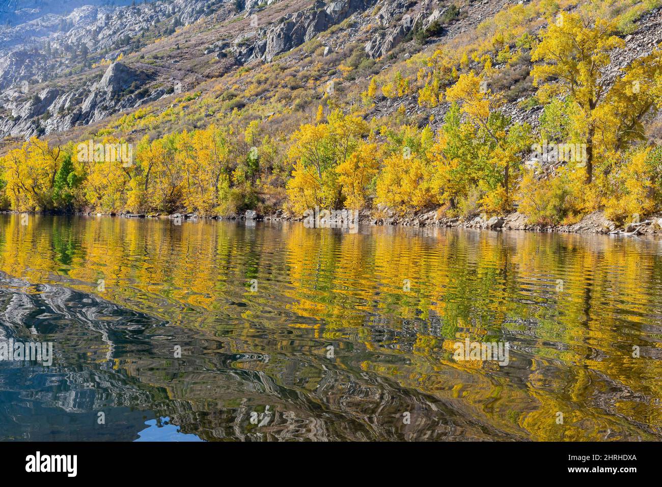 Sunny view of the fall color of Silver Lake at California Stock Photo ...