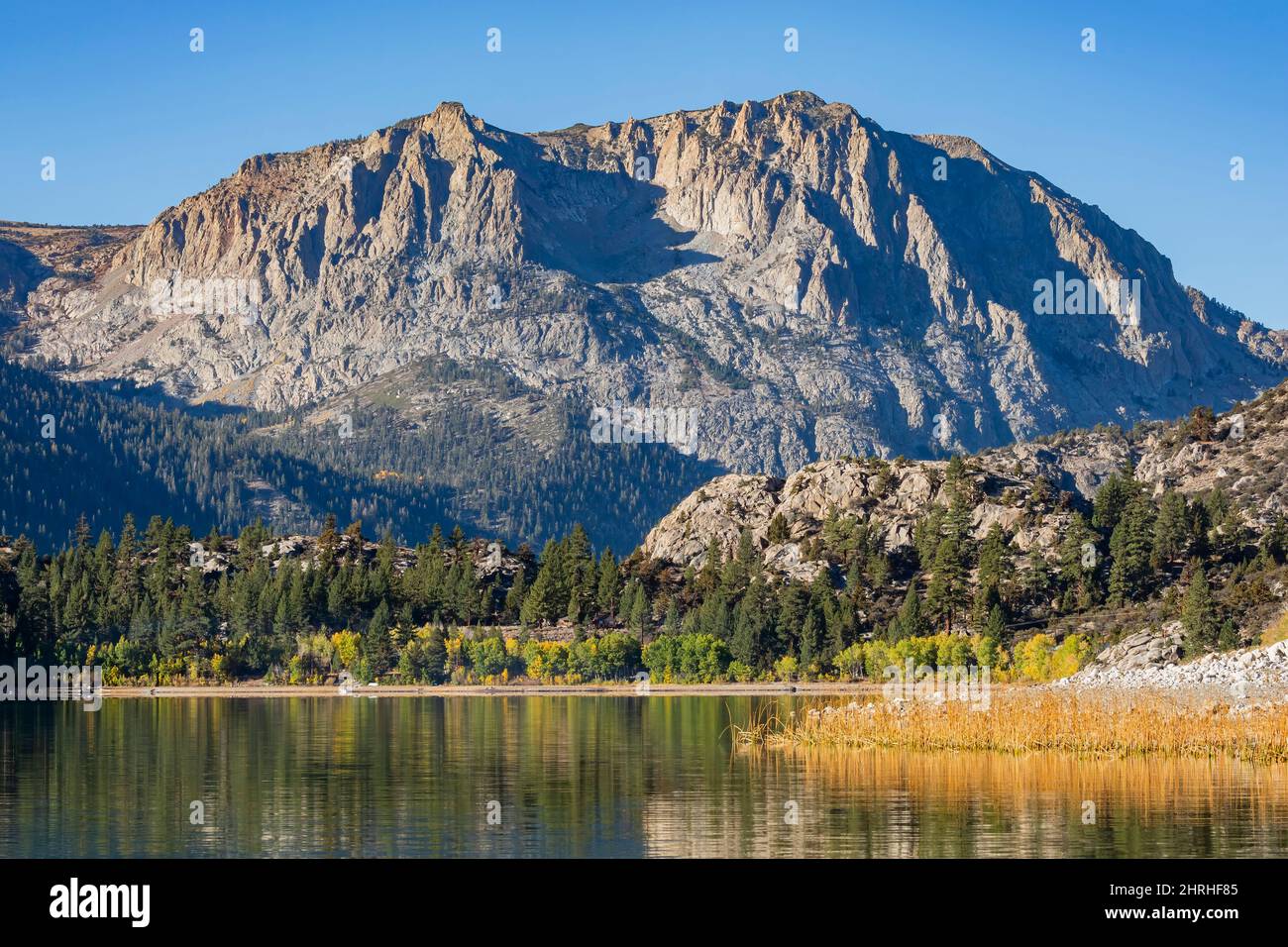 Morning view of the June Lake with fall colors at California Stock ...