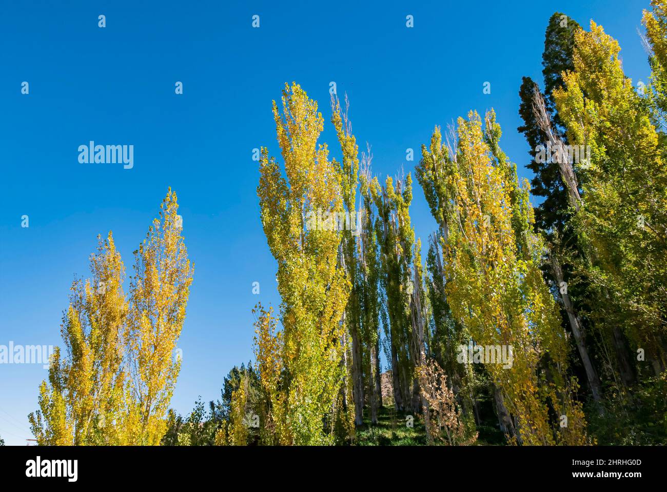 Sunny view of the fall color of Valyermo of Los Angeles County at ...