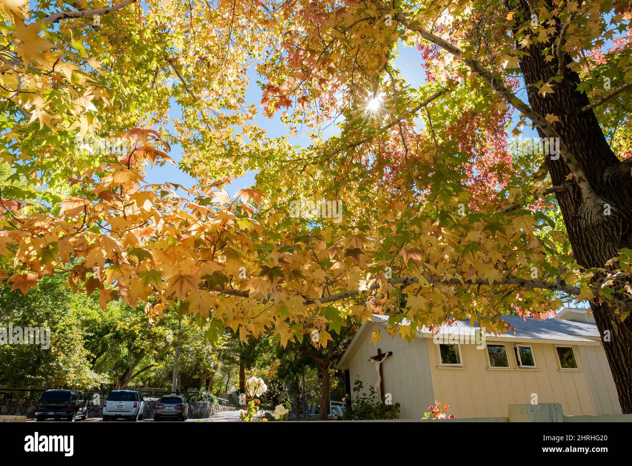 Sunny view of the fall color of Valyermo of Los Angeles County at ...