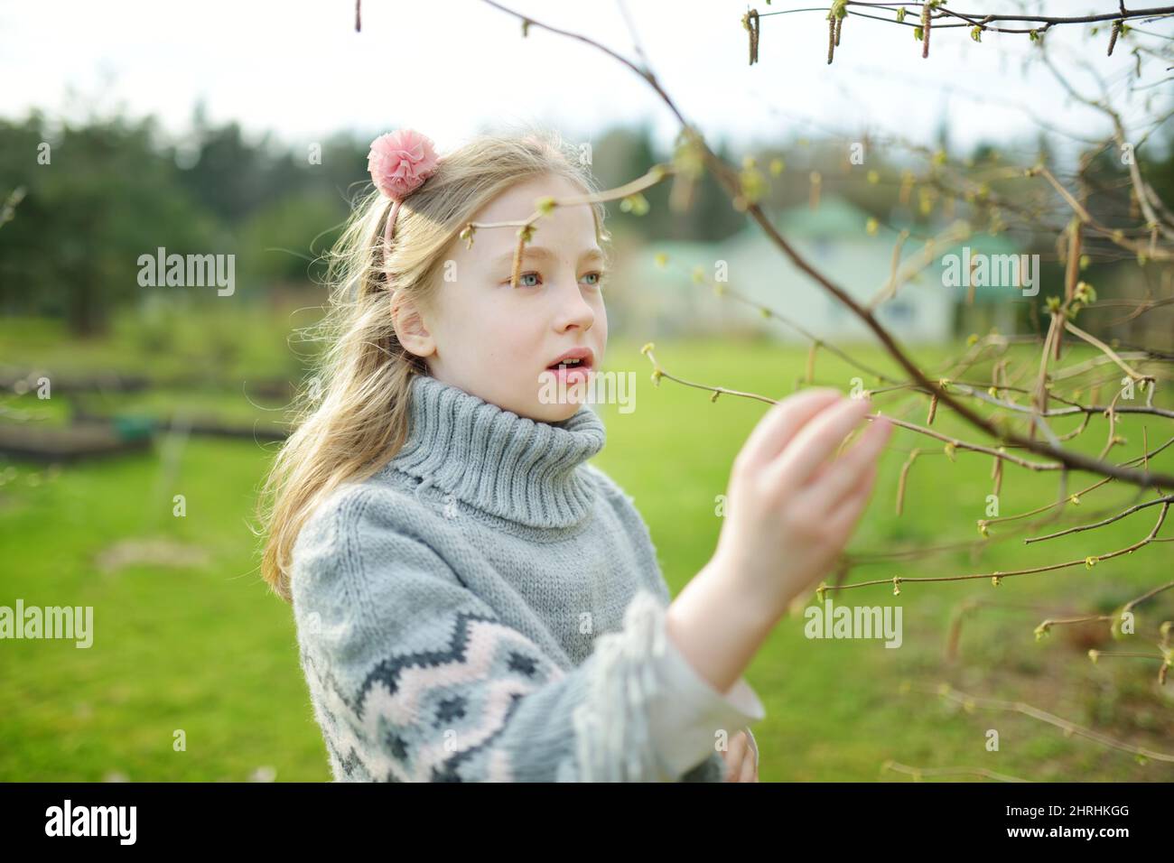 Cute young girl admiring fresh new soft buds sitting on chestnut tree ...