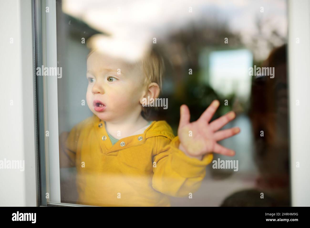 Adorable toddler boy looking through the window at home. Little child ...