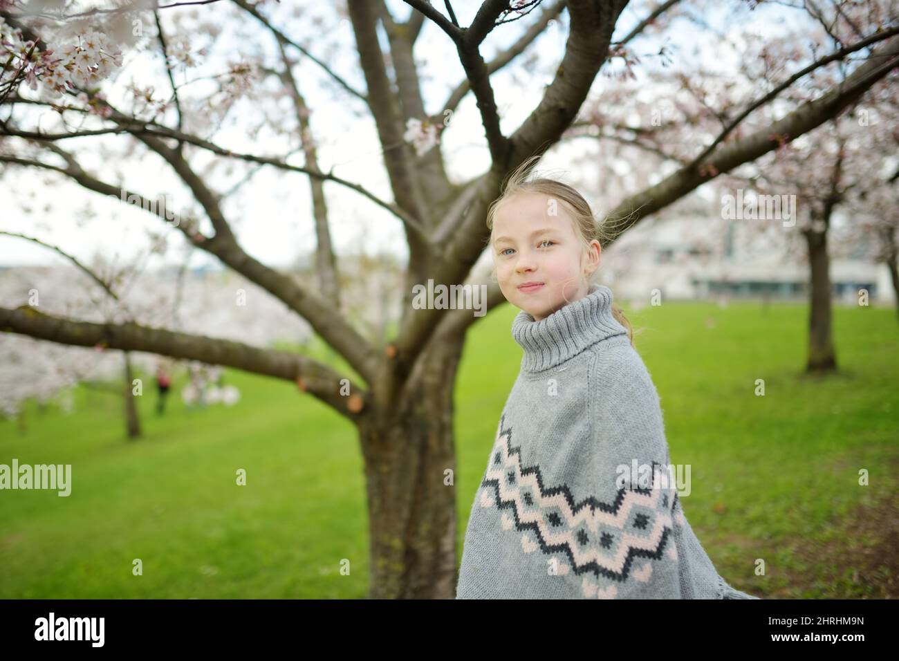Adorable young girl in blooming cherry tree garden on beautiful spring ...