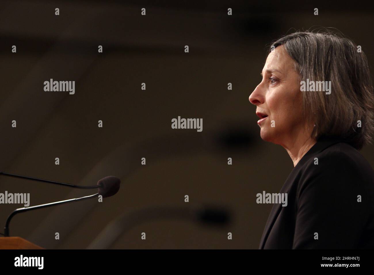 Chief coroner Lisa Lapointe speaks about the details of a report before ...