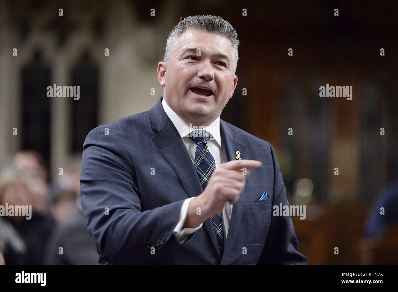 Conservative MP James Bezan stands during question period in the House ...