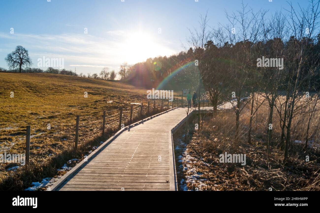 Narrow wooden path with trees and light sky in the background Stock Photo - Alamy