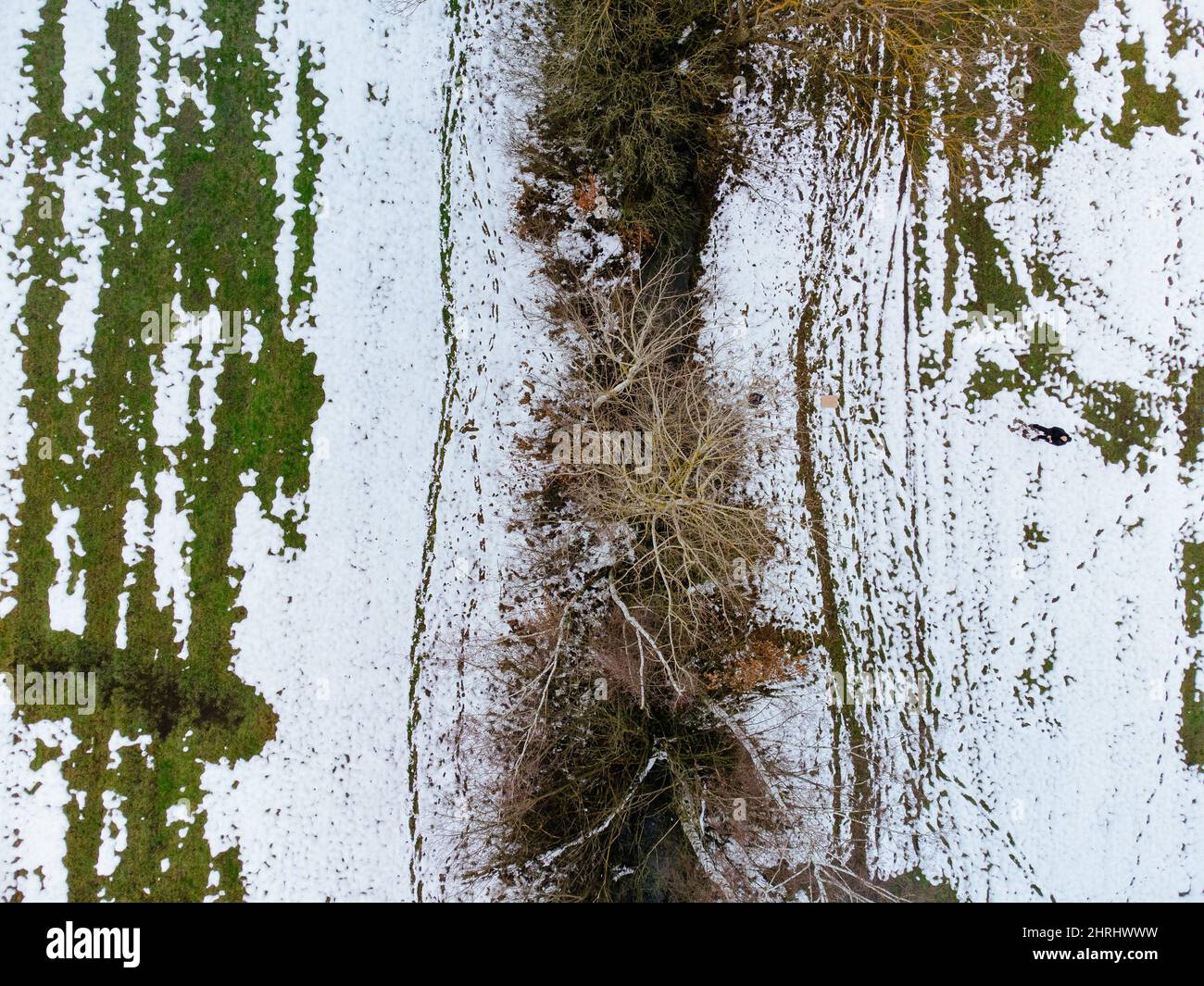 Aerial view of trees on road way on field at winter Stock Photo - Alamy