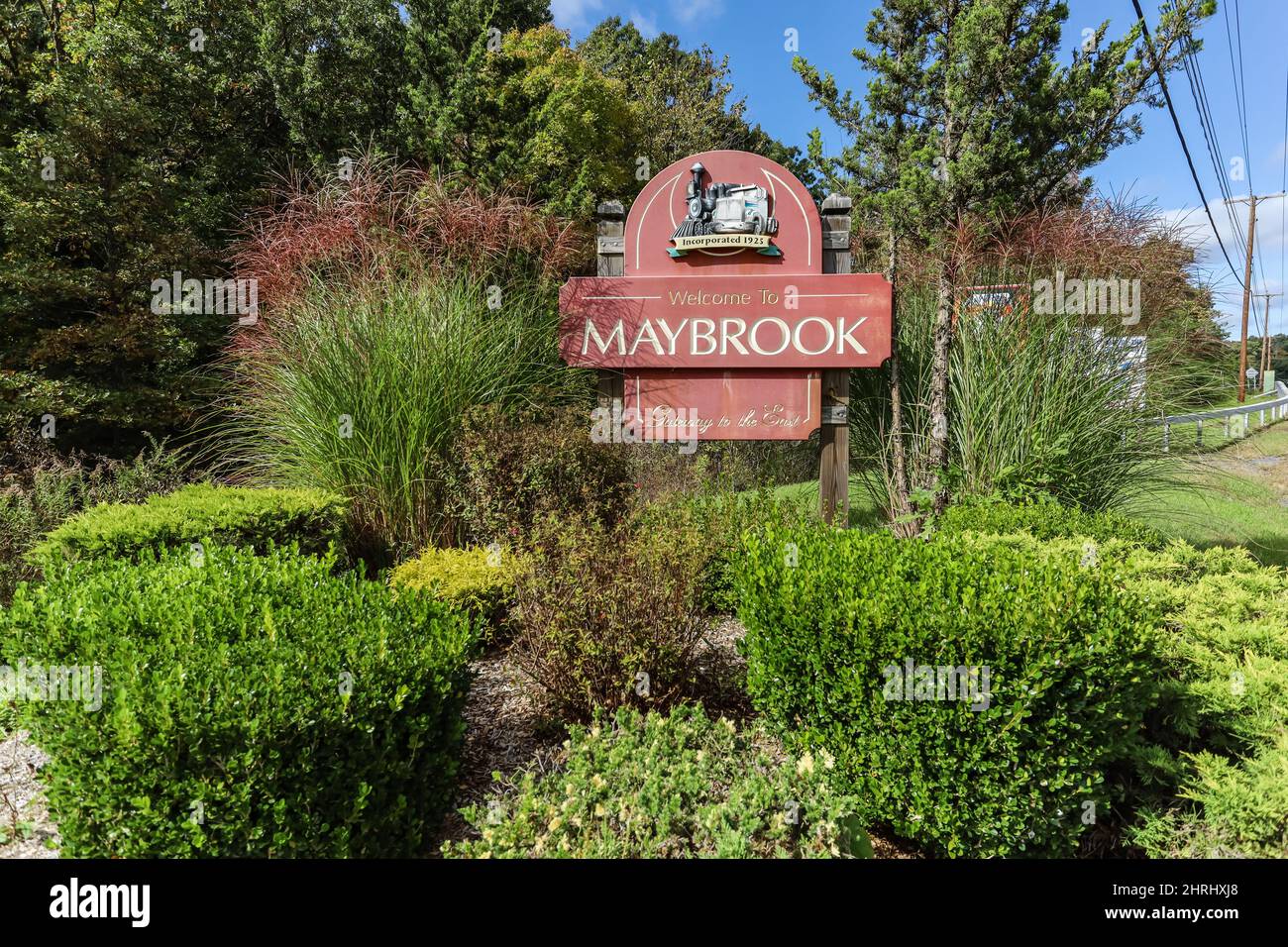 Welcome sign surrounded by vivid green grasses and foliage in the ...