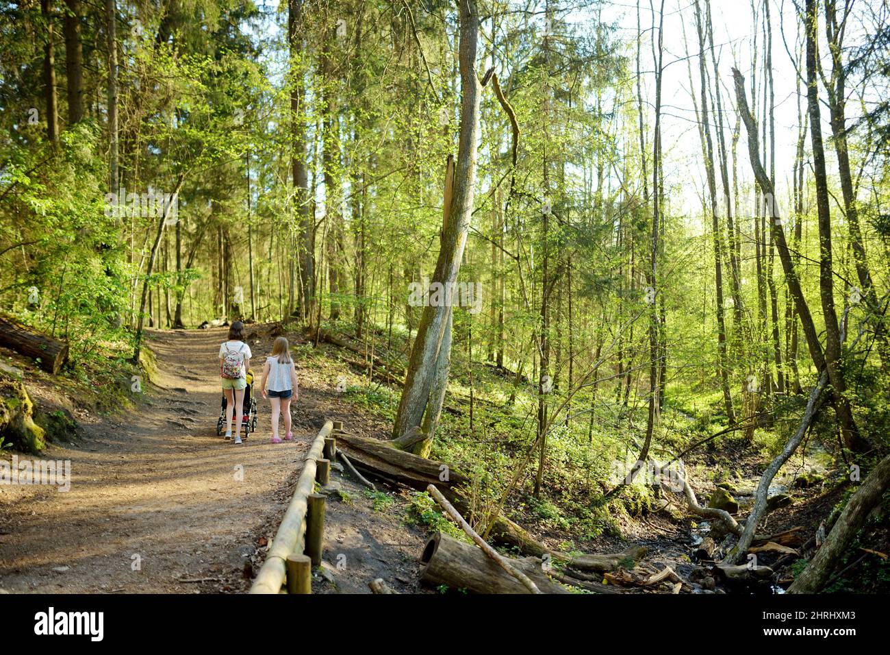 Older sisters walking in a park with toddler brother in pushchair. Girl ...