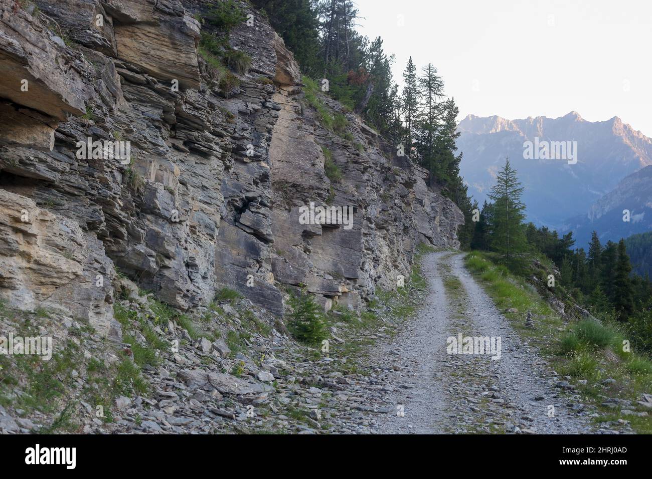 Path of trees hi-res stock photography and images - Alamy