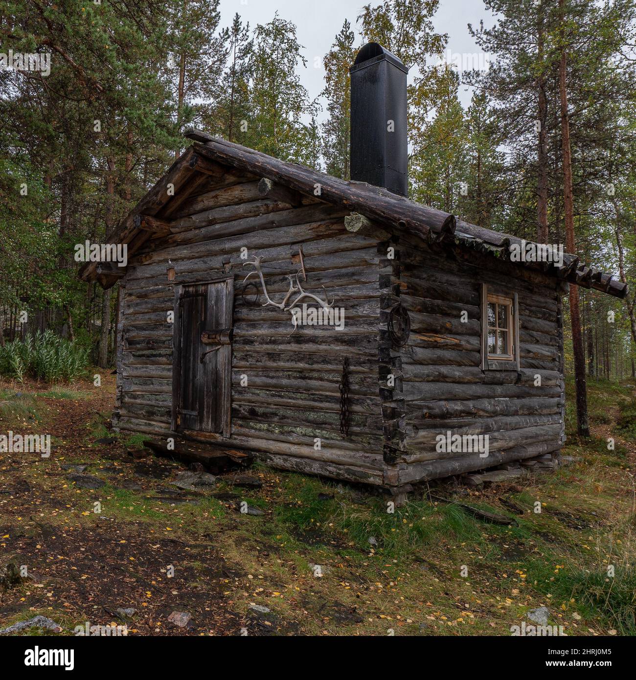 Shot of the a wooden hut in the forest, Ovre Pasvik National Park ...