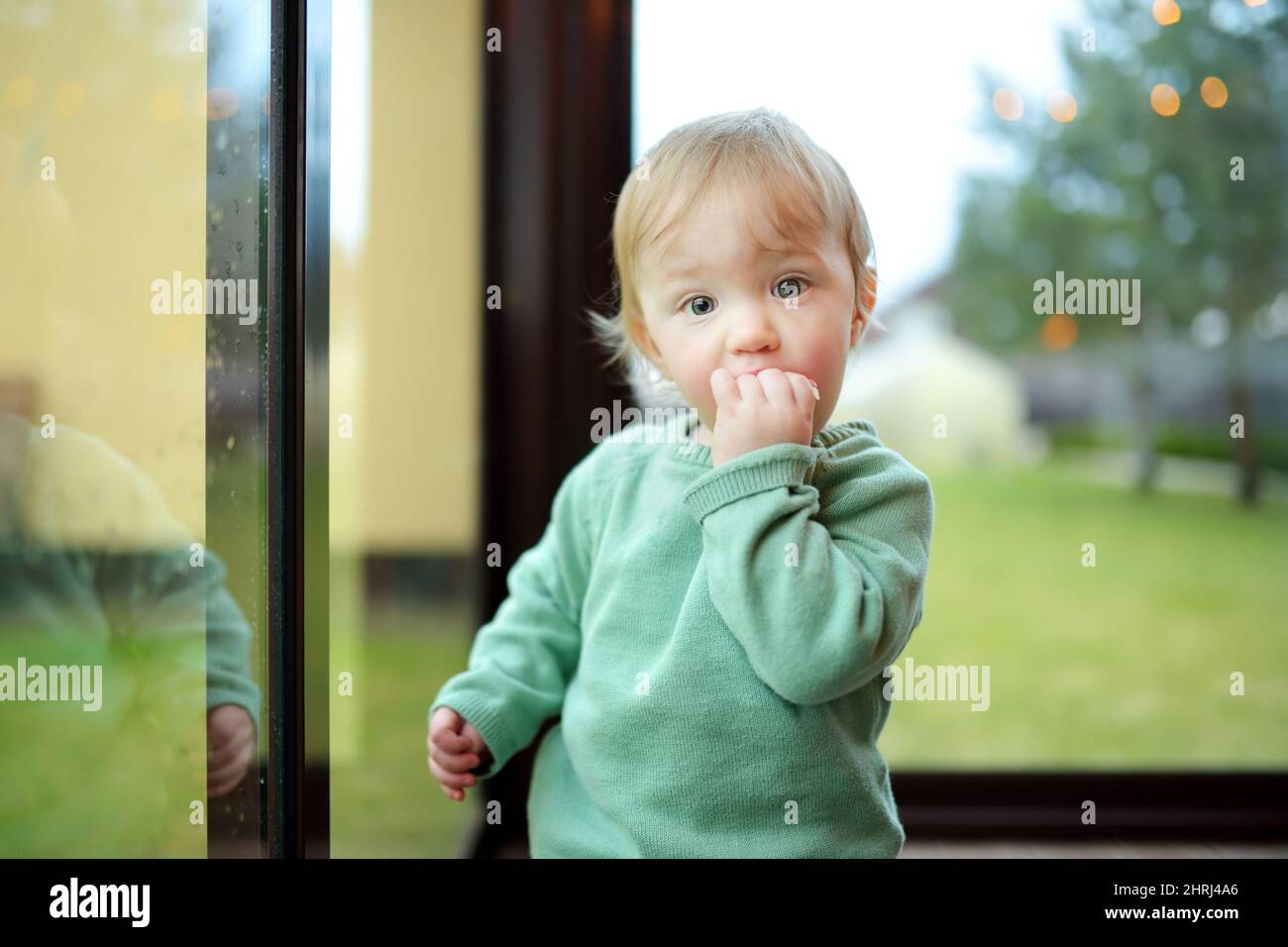 Adorable toddler boy standing by the window. Toddler learning how to ...