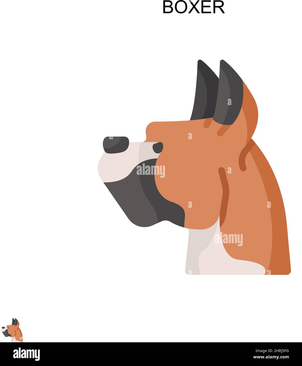 Boxer Simple vector icon. Illustration symbol design template for web ...