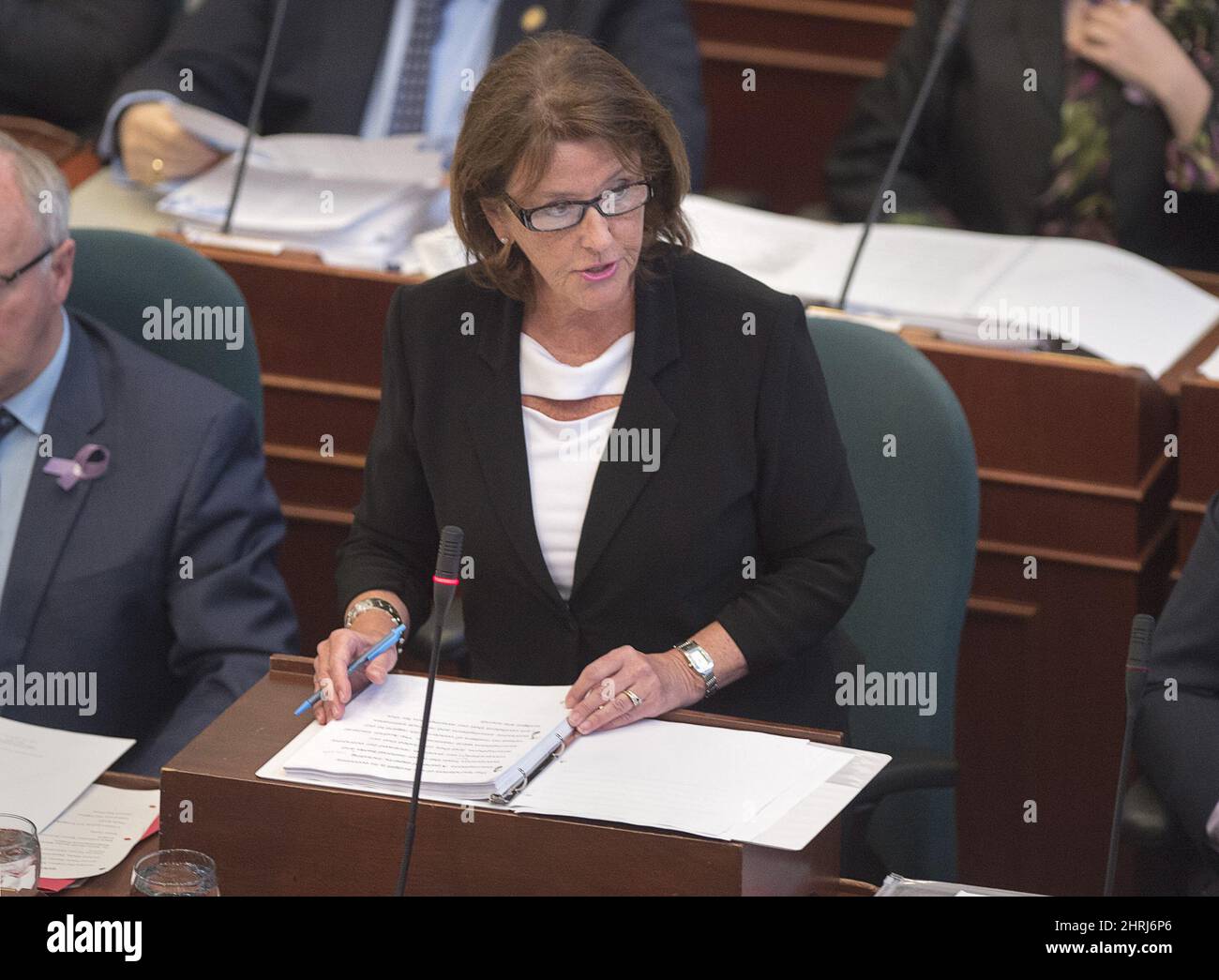 Finance Minister Karen Casey addresses the legislature as she presents ...
