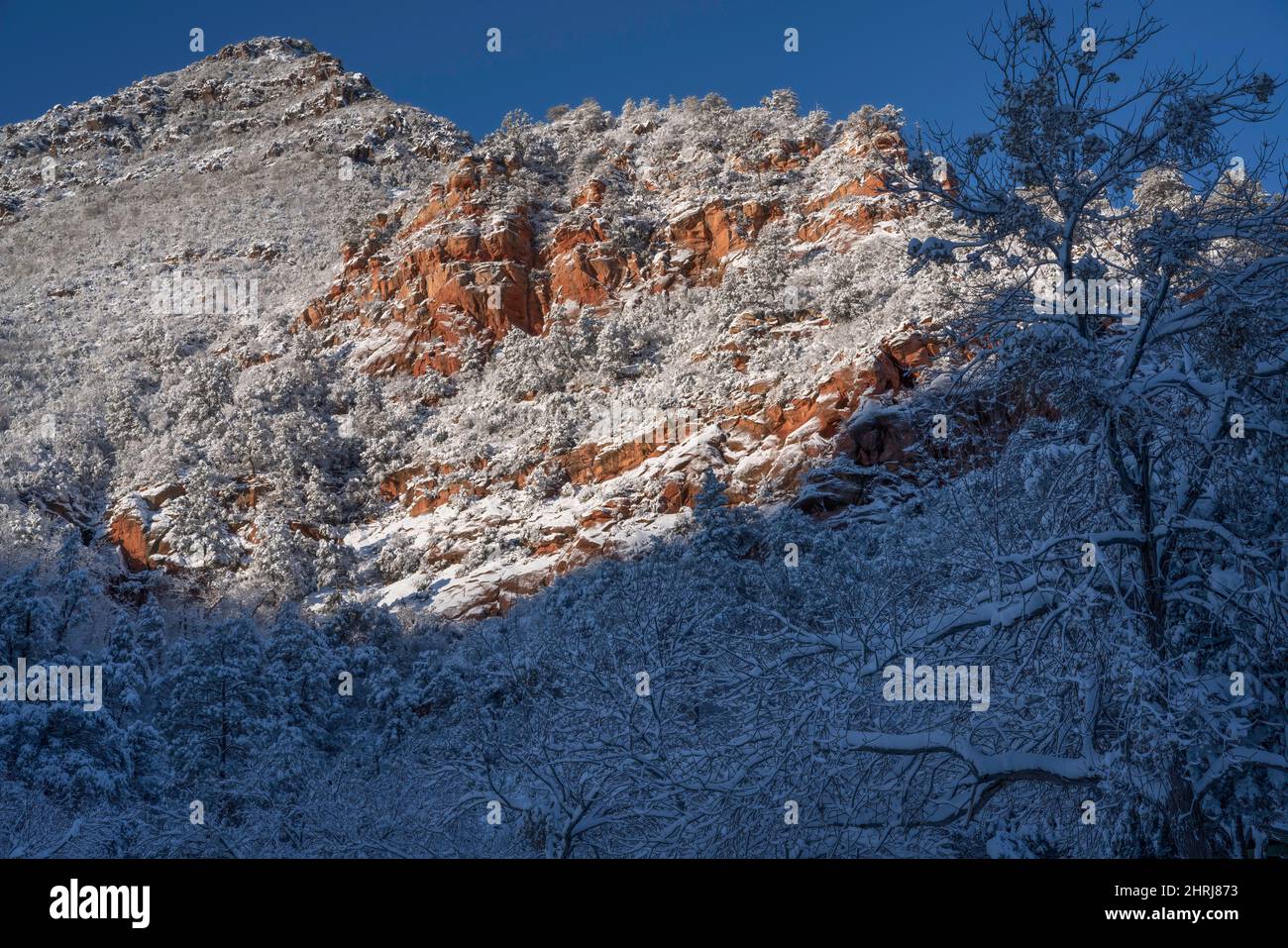 Overnight snowfall turns the red rocks of Sedona into a Blanketed ...