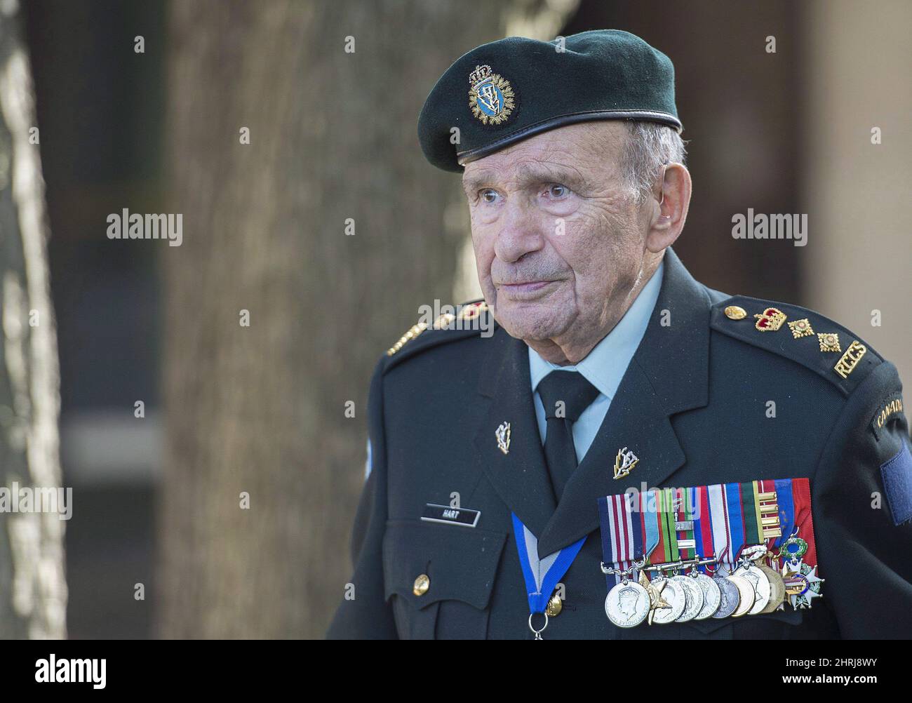 Colonel David Hart, a veteran of the Raid on Dieppe is shown during an ...