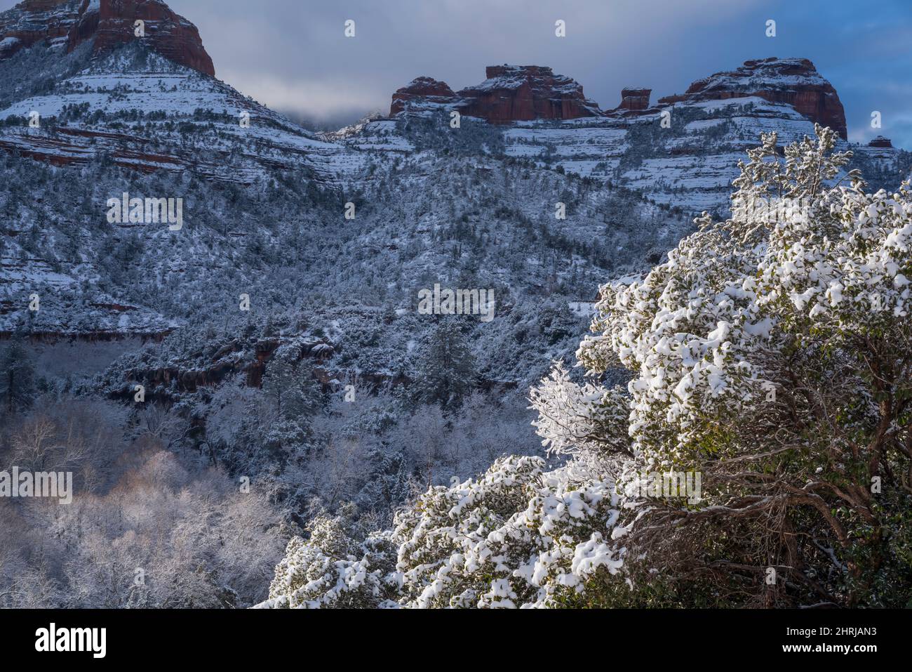 Overnight snowfall turns the red rocks of Sedona into a Blanketed ...