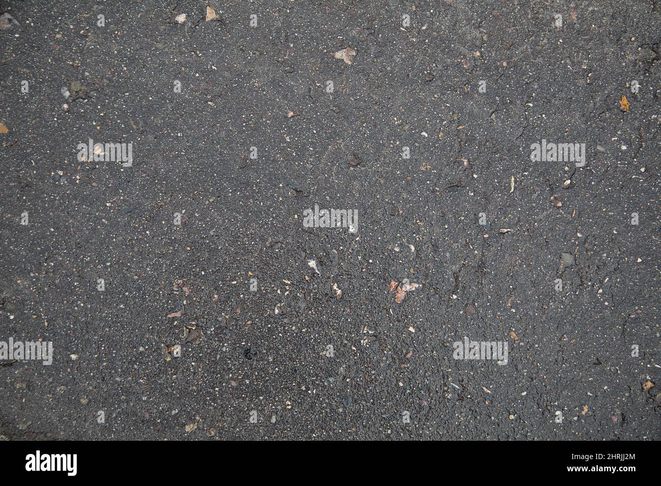wet gray asphalt after rain Stock Photo - Alamy