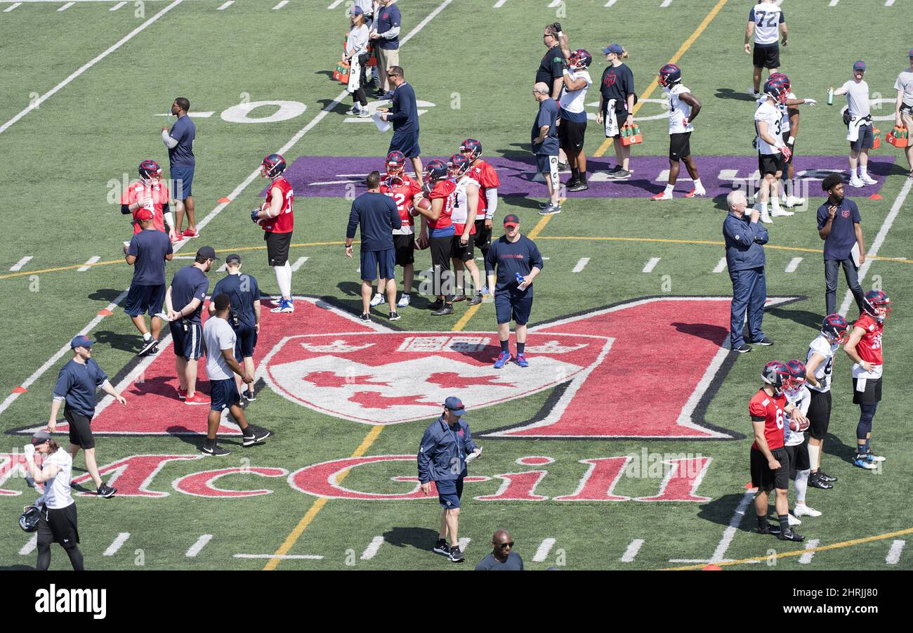 Montreal Alouettes players and coaches take to the field during ...