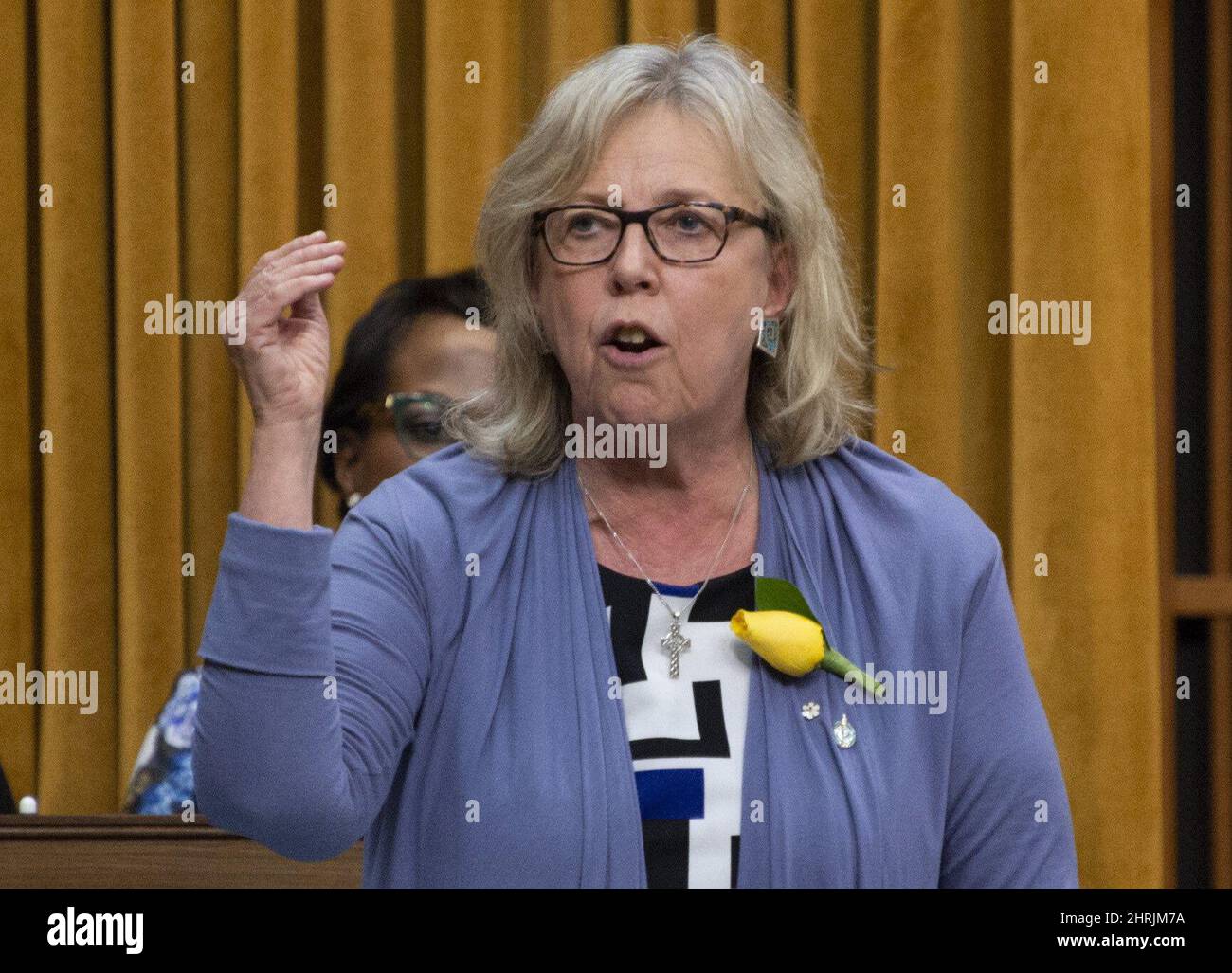 Green Party Leader Elizabeth May rises on a point of order following ...