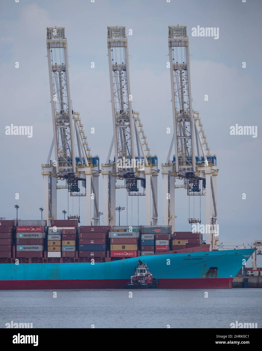 A tugboat guides the Anna Maersk container ship, carrying 69 containers ...