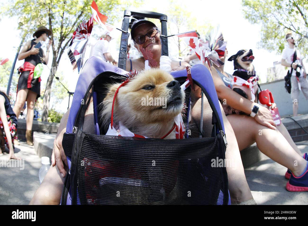 Coco and Tammy McLeod wait for their beauty shot at The Great Canadian ...