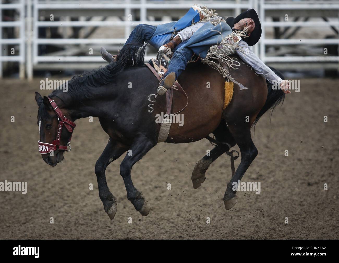 Seth Hardwick, of Miles City, Montana, rides Saturn Rocket, in bareback ...